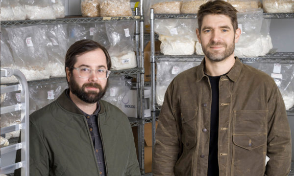 How Eben Bayer Harnessed the Power of Mushrooms to Change the World ...